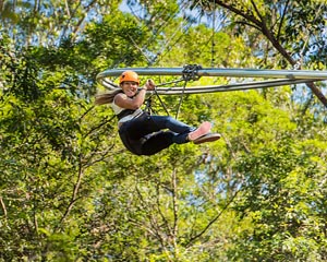 Tree Top 1km Flying Fox Ride - Central Coast - Adrenaline